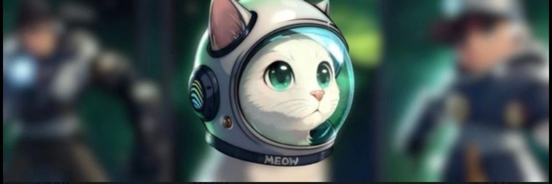 Meow $0.0₃23018 | Jupiter